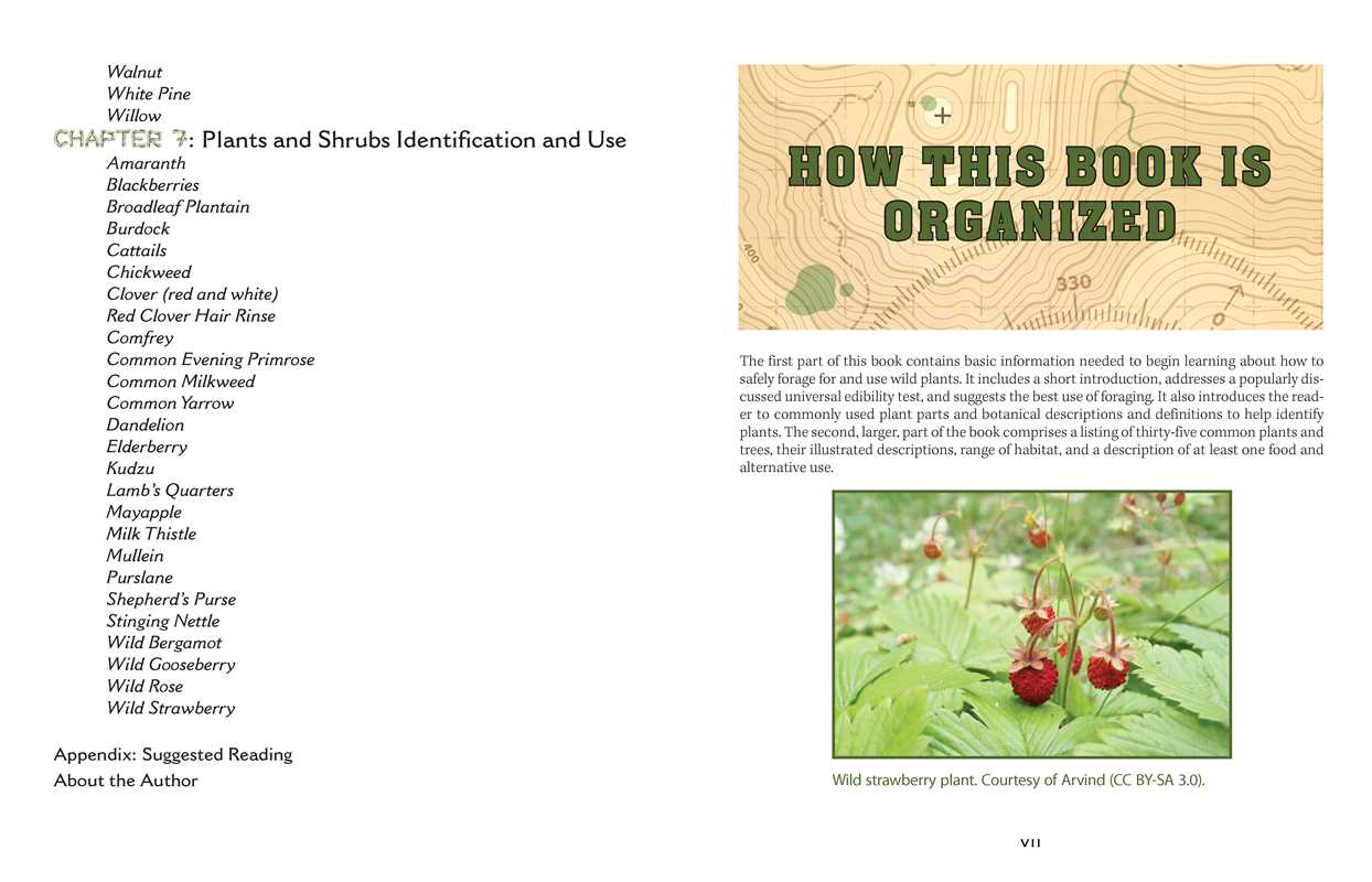 Prepper's Guide to Foraging by David Nash – Johnson's Heritage Farmstead